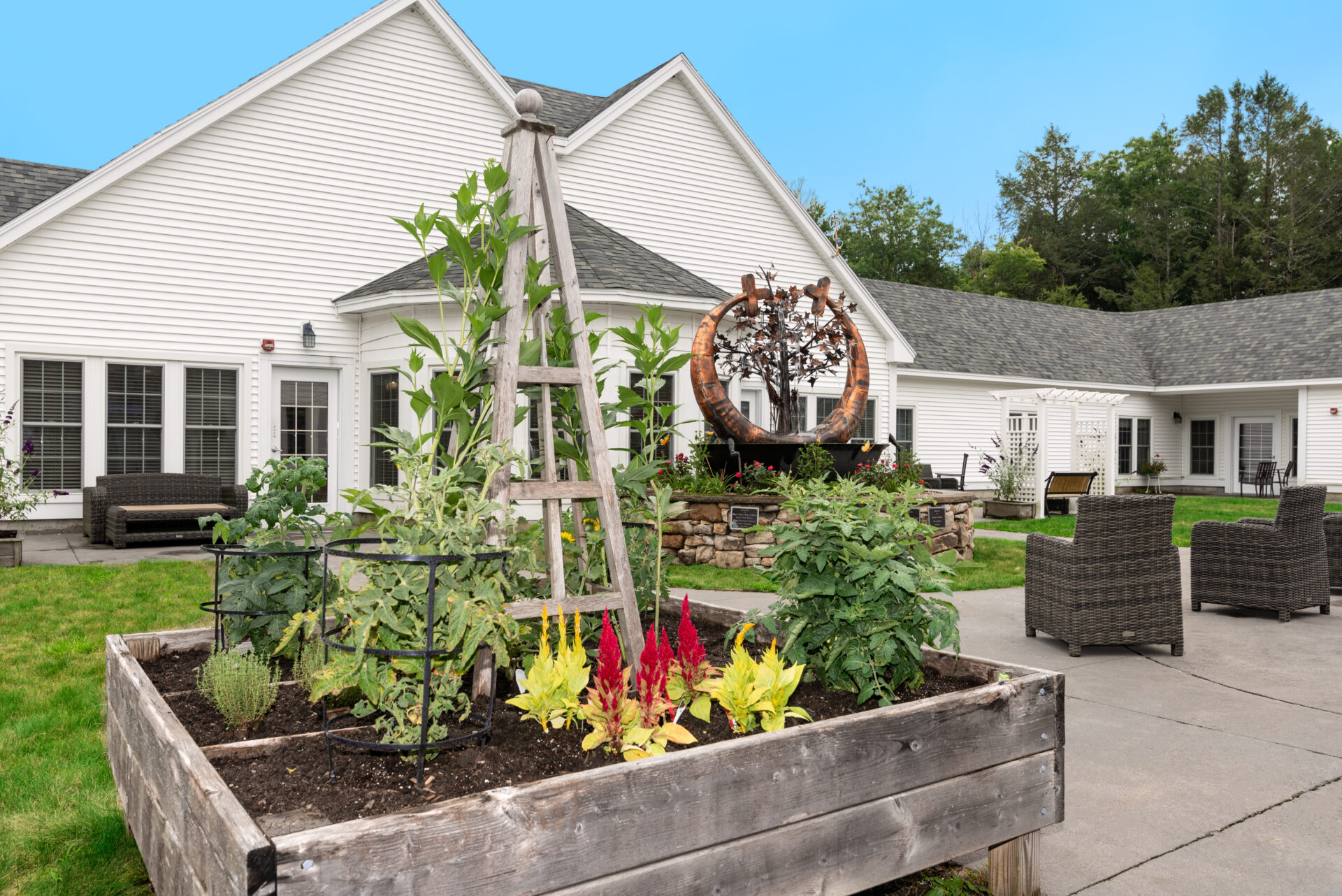 Amenities & Services | Benchmark Senior Living